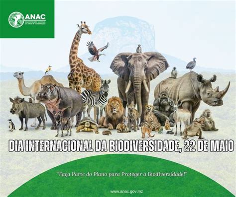 MoÇambique Celebra O Dia Internacional Da Biodiversidade 22 De Maio Anac