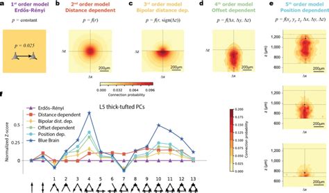 The Anisotropic Connectivity Among Cortical Neurons And Their Spatial Download Scientific