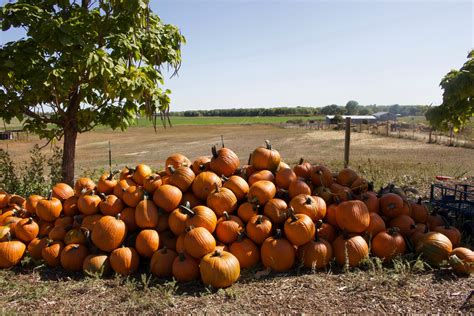 Fall In Love With Fall In Boulder Colorado Parkmobile