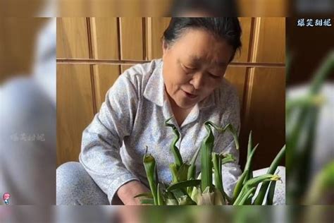 盘点东北大娘的语言艺术