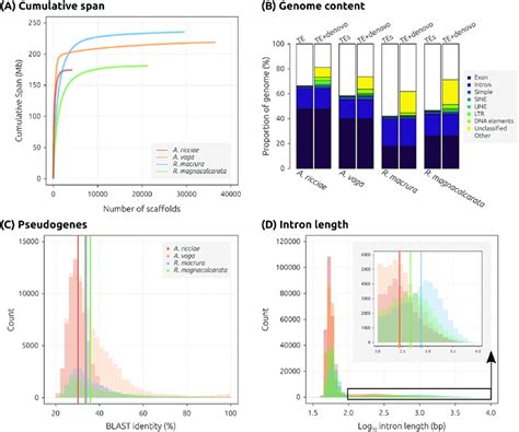 Genome Properties Of Bdelloid Rotifers A Assembly Contiguity