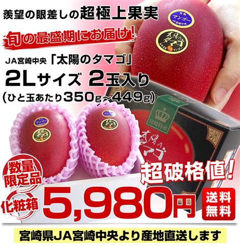 宮崎県より産地直送 Ja宮崎中央 完熟マンゴー 太陽のタマゴ2l×2玉 350gから459g×2玉 送料無料 宮崎マンゴー 太陽のたまご
