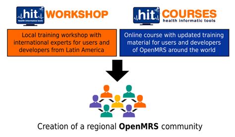 Scheme Describing The Local Workshop And The Online Course For OpenMRS