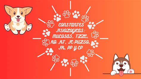 Constantes Fisiol Gicas Pt Youtube