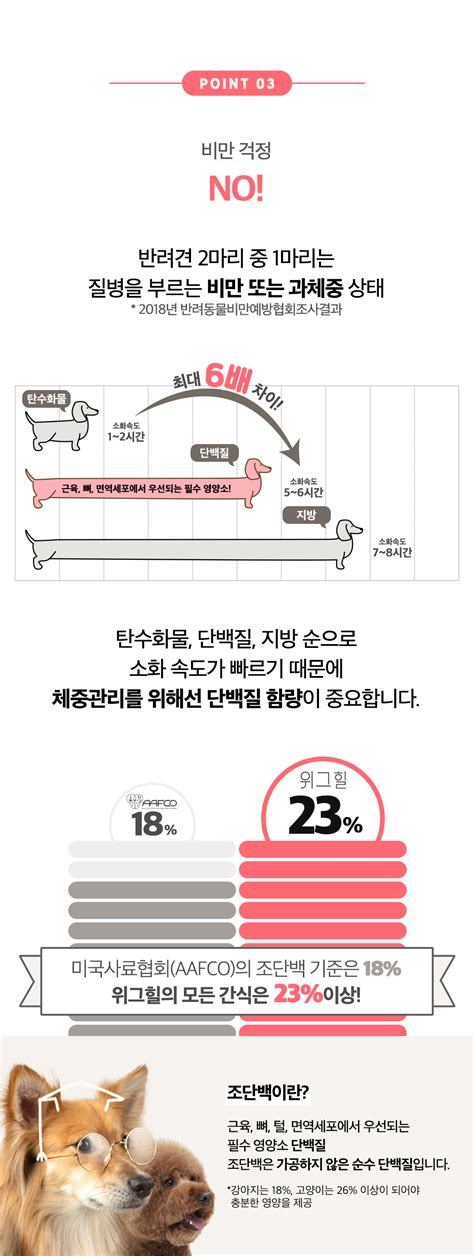위시낵 주식회사 키베이직
