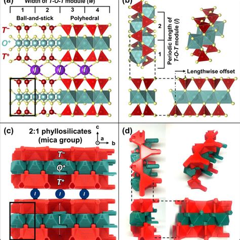 Modeling Of Totblocks After The 2 1 Phyllosilicate Prototype Download Scientific Diagram