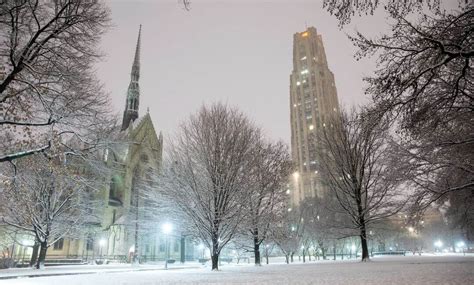 Promotions And Tenure Code Blue And Gold