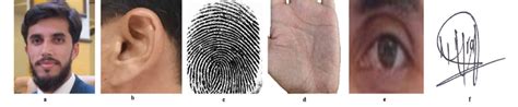 Biometric Traits A Face B Ear C Fingerprint D Palm Print