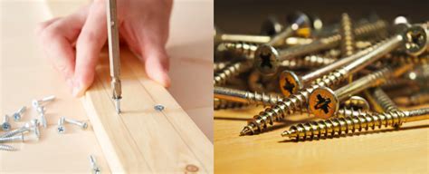 Quelle Taille De Cheville Molly Pour Ba13 Maison Spécialiste