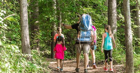 Top 10 Habits To Make Your Anne Springs Close Greenway Experience Great