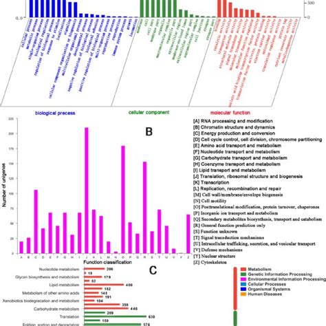 Go Gene Function Classification Kog And Kegg Function Classification