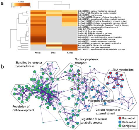 Metascape Is A Gene List Analysis Website Designed For Biologists