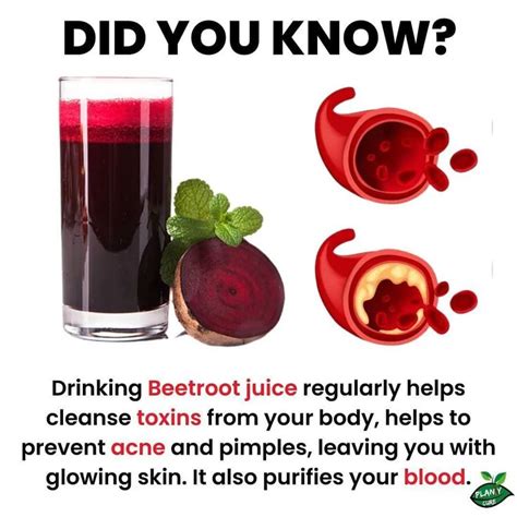 Benefits Of Drinking Beetroot Juice Healthy Tips