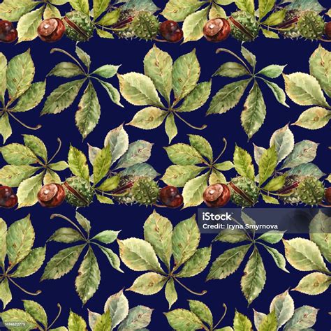 이음새가 없는 무늬 가을 타락한 밤나무 잎 갈색 밤나무 씨앗 둥근 녹색 가시 과일을 껍질에 깎아 내립니다 진한 파란색 배경에 손으로 그린 수채화 그림 0명에 대한 스톡 벡터