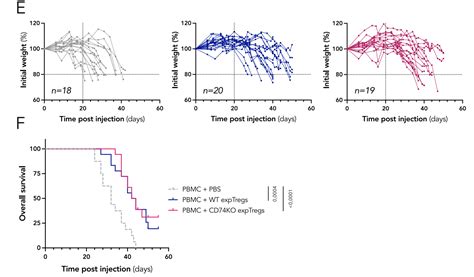 Cd74 Supports Accumulation And Function Of Regulatory T Cells In Tumors