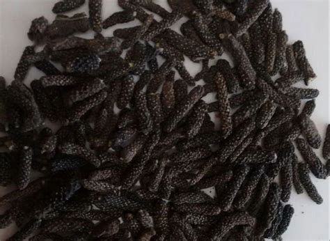 Pippali Small Packaging Size 70 Kg Packaging Type Jute Bag At Rs