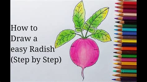 How To Draw A Radish Step By Stepeasy Radish Drawing 2019artistica