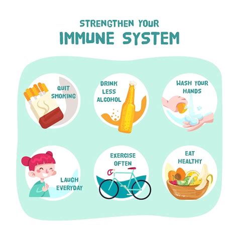 Free Vector Boost Your Immune System Infographic