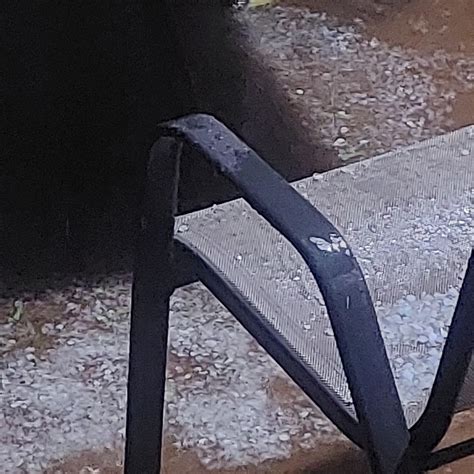 Reënval In Sa Brits Masiewe Storm Gehad Facebook
