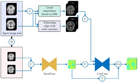 medical image processing based on cnn download scientific diagram