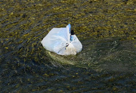 California Bans Plastic Bags Statewide Time