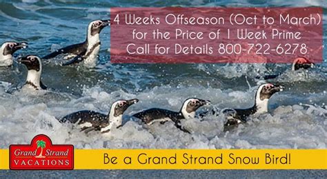 9 Best Seafood Restaurants In North Myrtle Beach Grand Strand