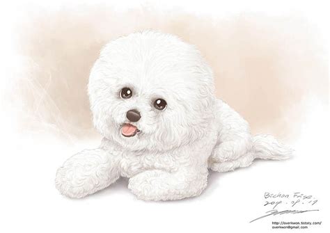 [권태성 오버권 의 강아지 그리기]비숑 프리제 Bichon Frise Drawing 02 강아지 비숑 프리제 비숑