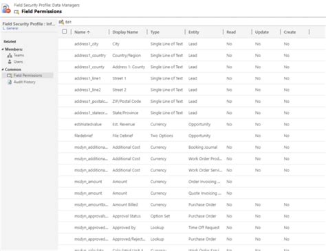 Getting Started With Field Level Security In Dynamics 365 Reenhanced