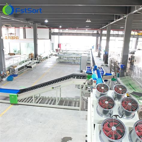 Fstsort Best Price Coconut Grading Sorting Classifying Machine Fruit Processing Machine