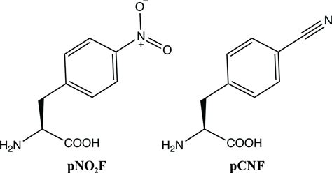 Iucr Crystal Structures Of Green Fluorescent Protein With The