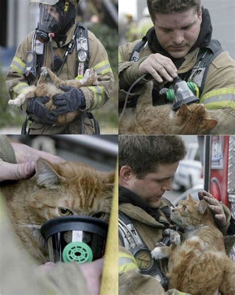 Firefighters Saving Animals