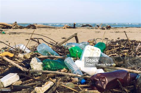 在大城市的海灘上堆滿了垃圾空使用的髒塑膠瓶骯髒的黑海海沙岸環境污染生態問題 照片檔及更多 不完美 照片 不完美 保加利亞 光 Istock