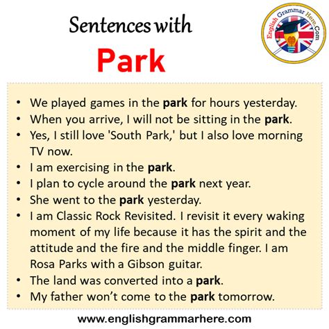 Sentences With Radical Radical In A Sentence In English Sentences For