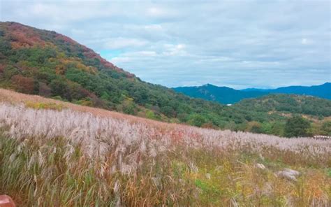 팁 전 세계 공항 Icao Iata 코드 조회하기 항공정보포탈시스템 Hiworls Note