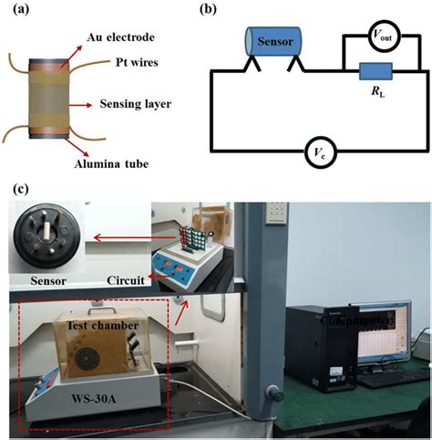Schematic Diagrams Of A A Sensor Element B Testing Circuit Of The Gas Download Scientific
