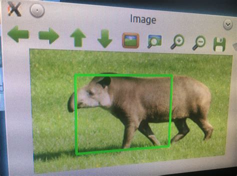 3 Result For Object Detector Using Histogram Of Oriented Gradients