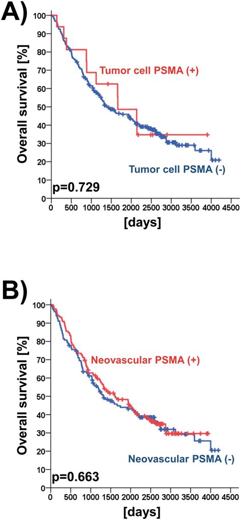 Prostate Specific Membrane Antigen Psma Expression In Non Small Cell