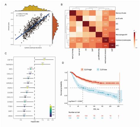Curation And Prognostic Value Of Cytotoxic Lymphocyte Related Clr Download Scientific Diagram