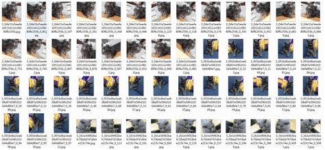 神经网络实现猫的种类识别resnet猫的品种识别 Csdn博客