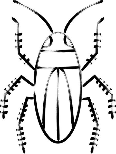 12 Cockroach Characteristics Royalty Free Photos And Stock Images Shutterstock
