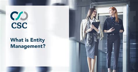 What Is Entity Management CSC