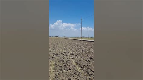 콩7 품종장류 나물 밥밑 풋 올콩 소개 Youtube