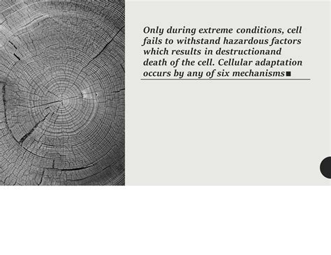 Cell Adaptation Physiology And Pathology Pdf