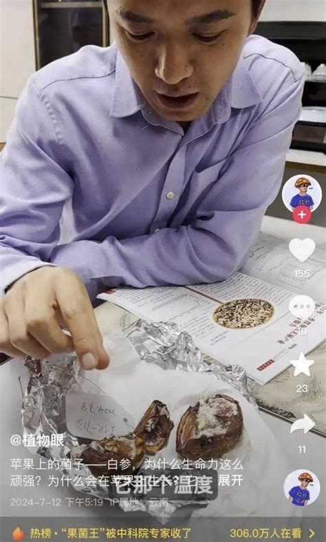长蘑菇的苹果意外成网红，中科院专家：这菌子能吃！长江云 湖北网络广播电视台官方网站