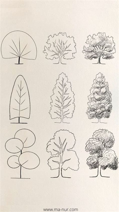Trees Drawing Tutorials Artofit