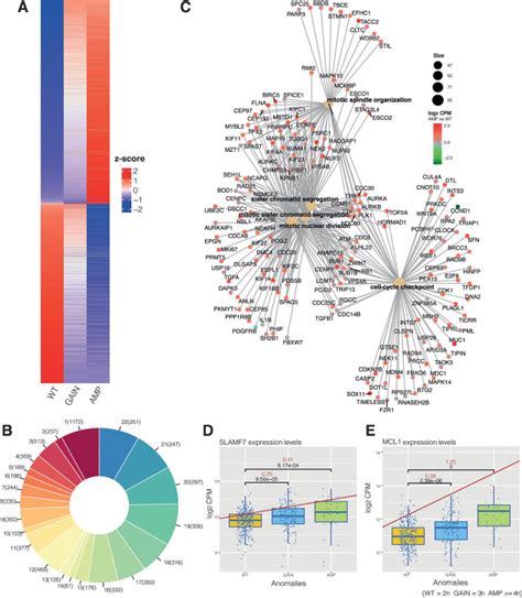 Functional Impact Of Genomic Complexity On The Transcriptome Of Multiple Myeloma Abstract