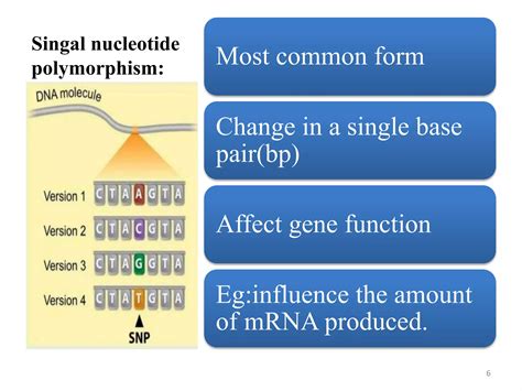 Polymorphism Affecting Drug Metabolism Pptx