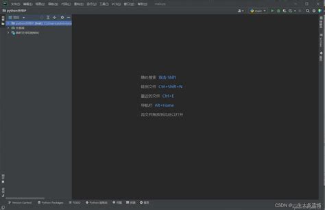 Python Pycharm Csdn