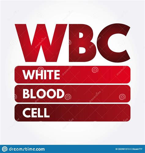 WBC White Blood Cell Acronym Stock Illustration Illustration Of