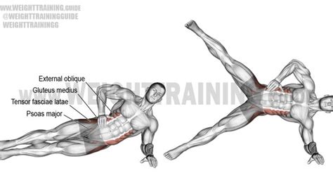 Ez Bar Reverse Curl Exercise Instructions And Video Weight Training Guide Exercise Oblique